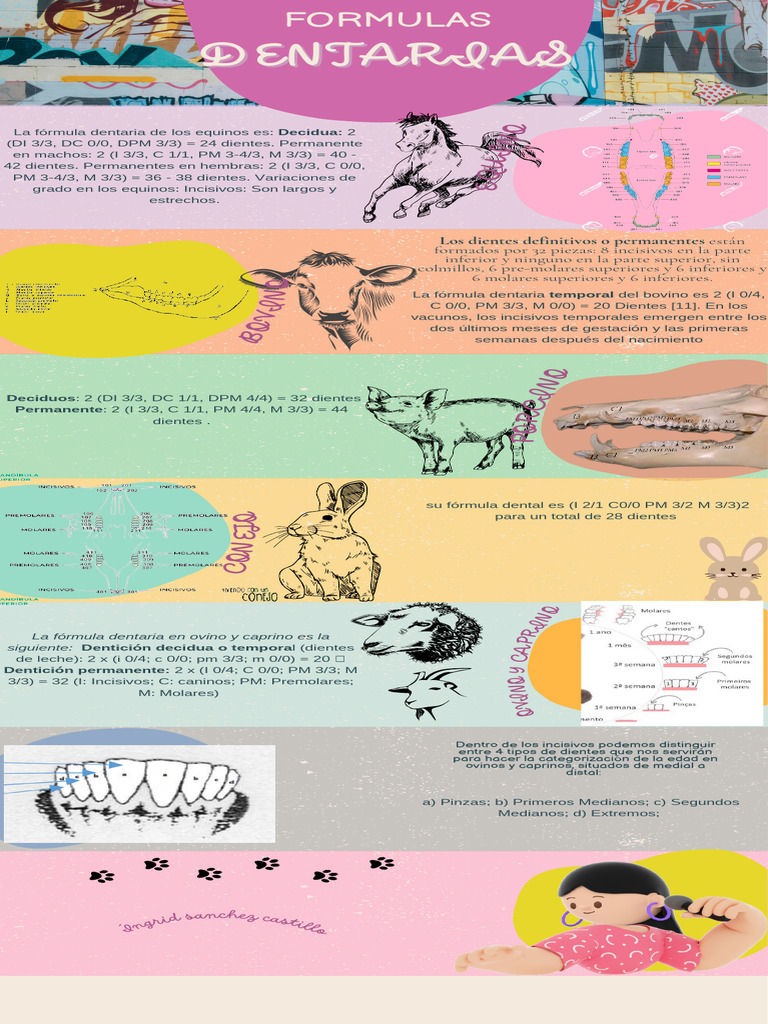 Formulas Dentarias | PDF | Diente | Mamíferos
