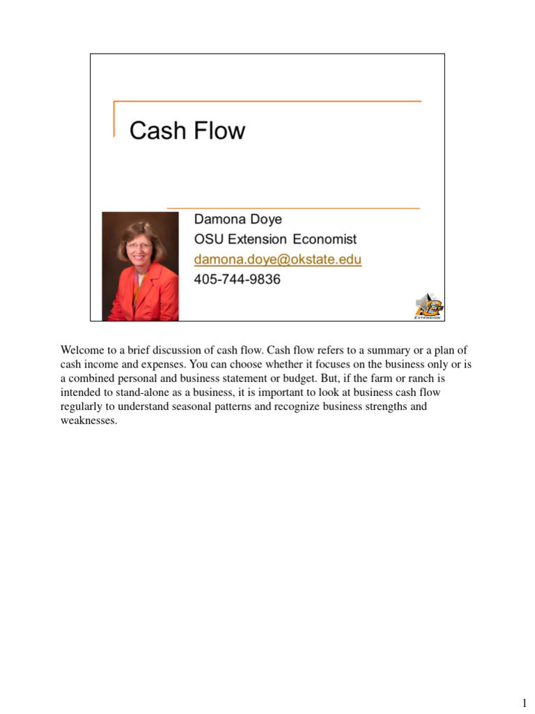 Cash Flow | PDF