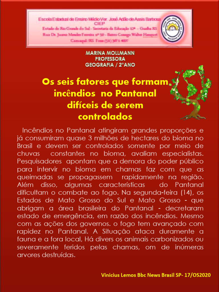 Queimada 002 | PDF