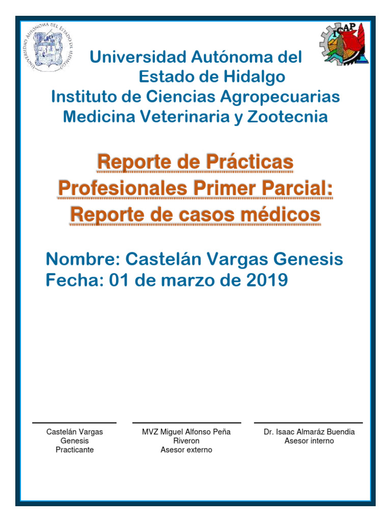 Reporte de Practicas Profesionales Prime | PDF