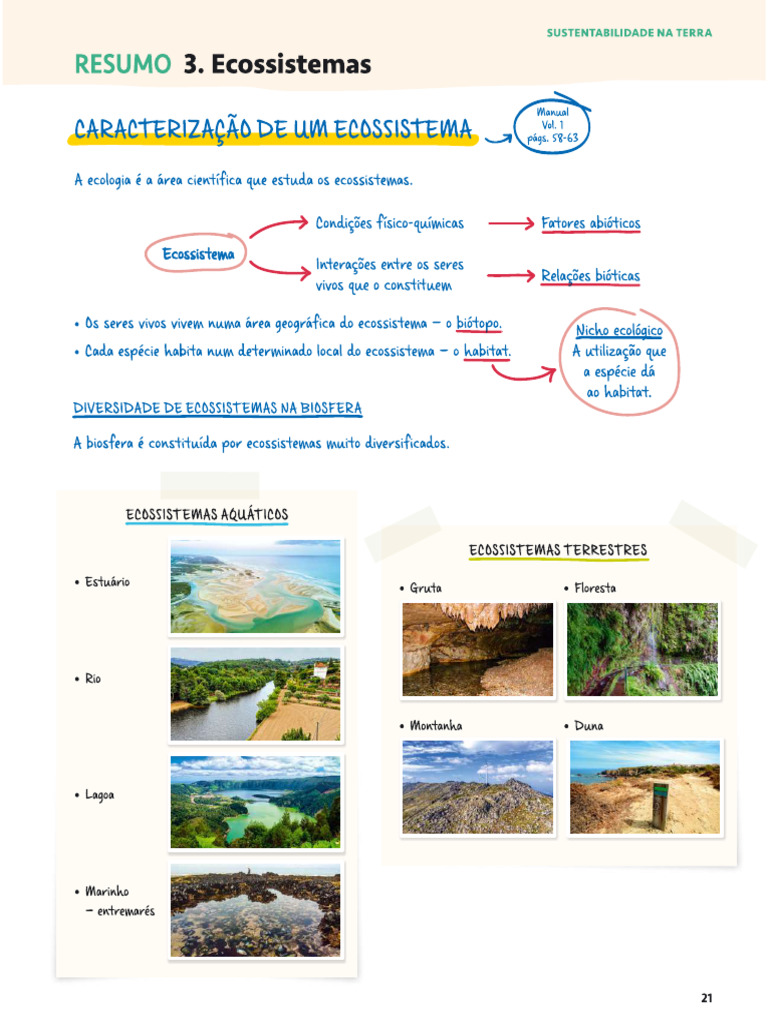 Resumo Ecossistemas | PDF