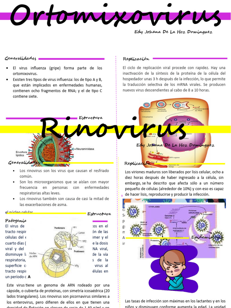 Esquemas Viro | PDF | Virus | Influenza