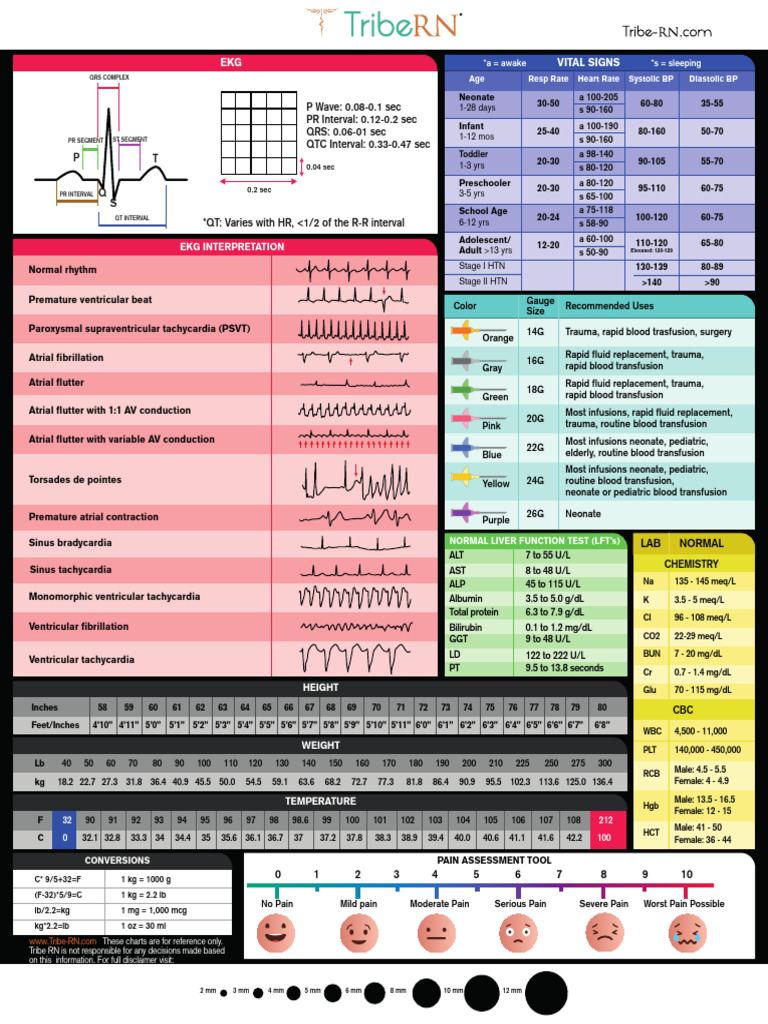 Blood Pressure Reference Guide | PDF | Electrocardiography ...