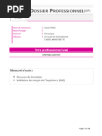 Exemple Dossier Professionnel Rempli Transport en Commun | PDF | Véhicules | Microsoft Word