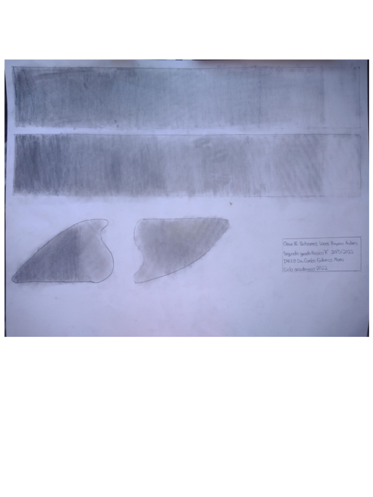 Degradación Tonal Acromatica | PDF