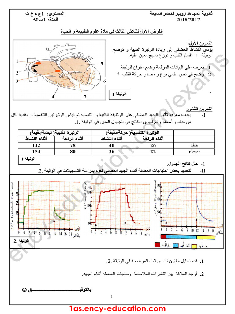Sciences 1sci18 3trim d2 | PDF