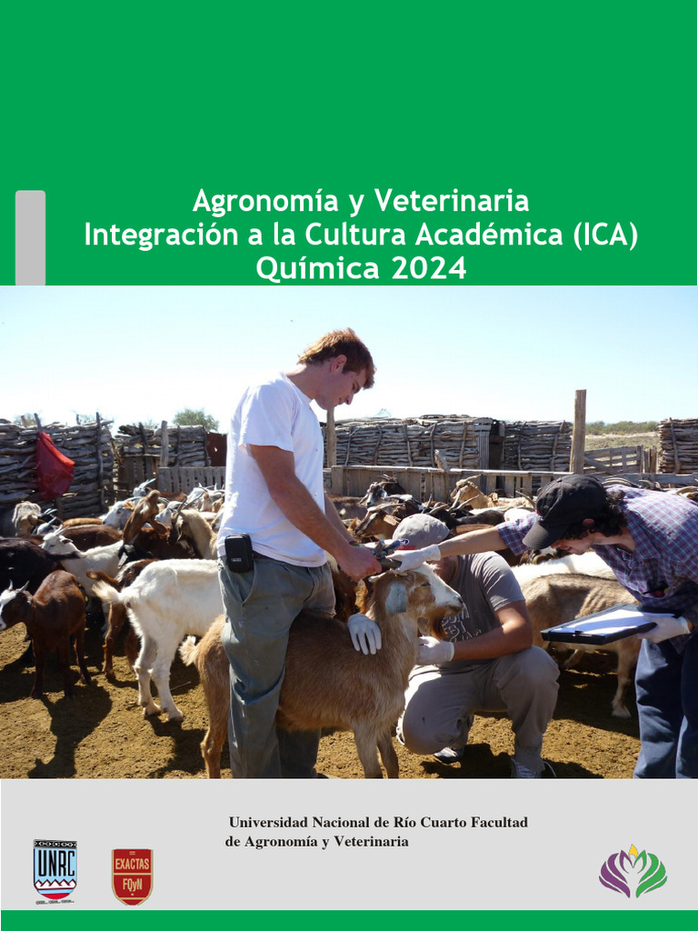 2024 ICA Modulo Qca MV | Descargar gratis PDF | Enlace covalente | Enlace químico