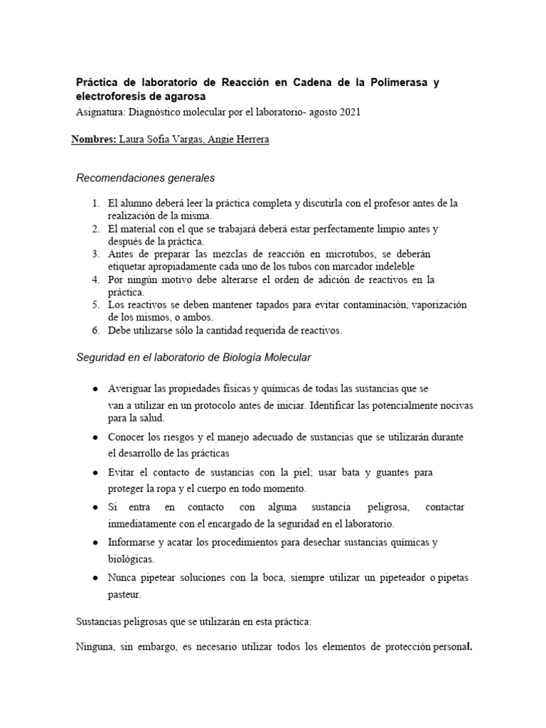 Informe Lab 2 | PDF