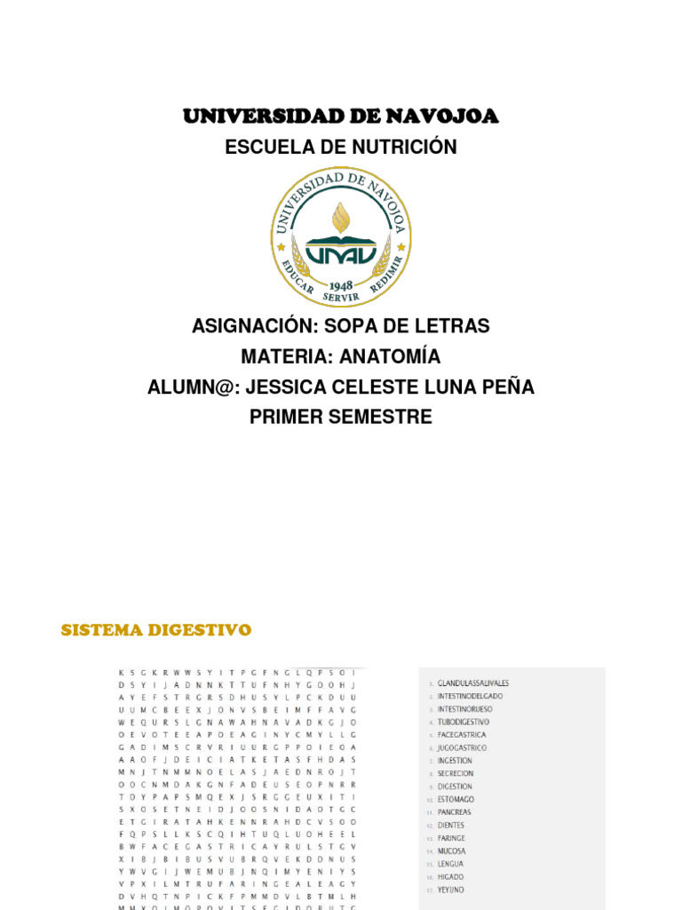 Sopa de Letras | PDF | Digestión | Sistema digestivo humano