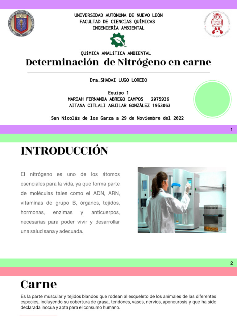 PIA - Analitica EQ1 | PDF