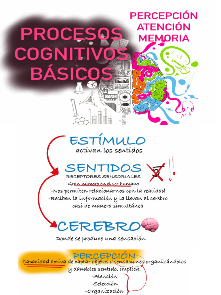 .T4 Procesos Cognitivos Básicos | PDF