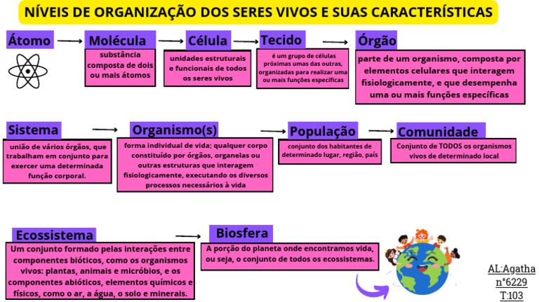 Mapa Mental 02, Prof - Kelma | PDF