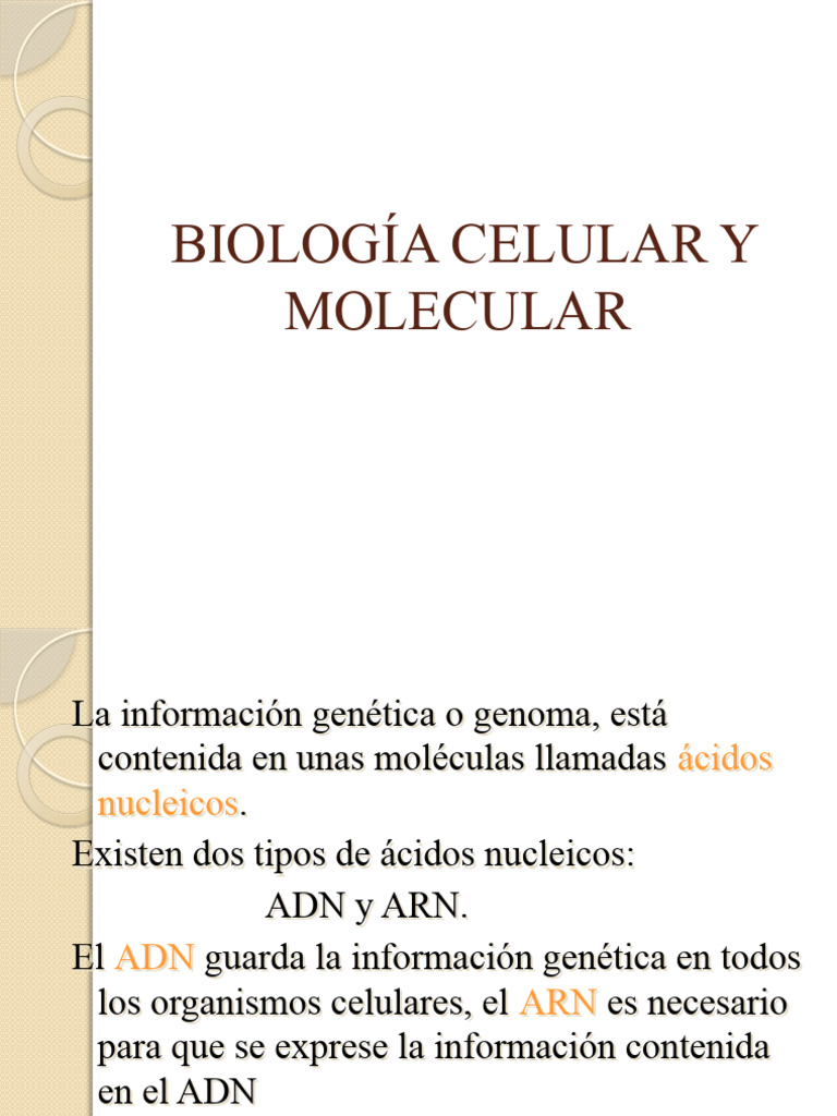 Replicaci N Del ADN | Descargar gratis PDF | Adn | Replicación De Adn Replicaci N Del ADN | Descargar gratis PDF | Adn | Replicación De Adn