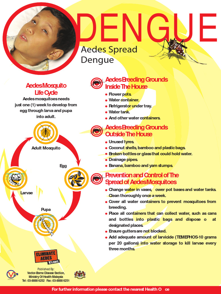 03 - Poster Denggi - BI - 01 | PDF | Mosquito | Insects And Humans