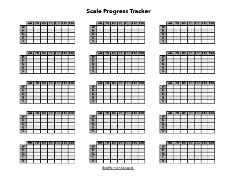 Scale Progress Tracker | PDF