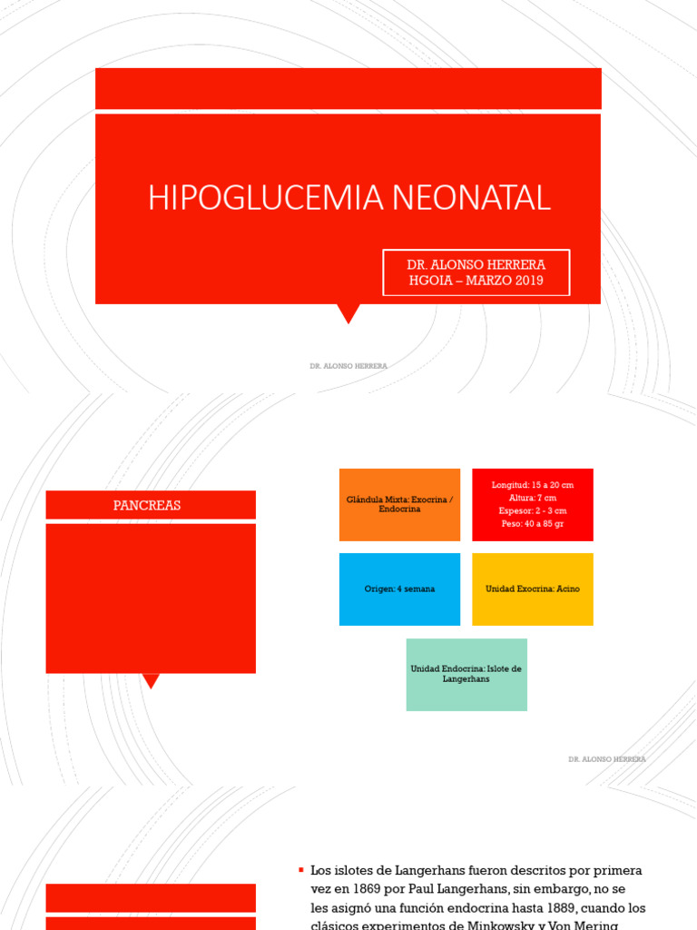 Hipoglucemia Neonatal | PDF | Insulina | Páncreas