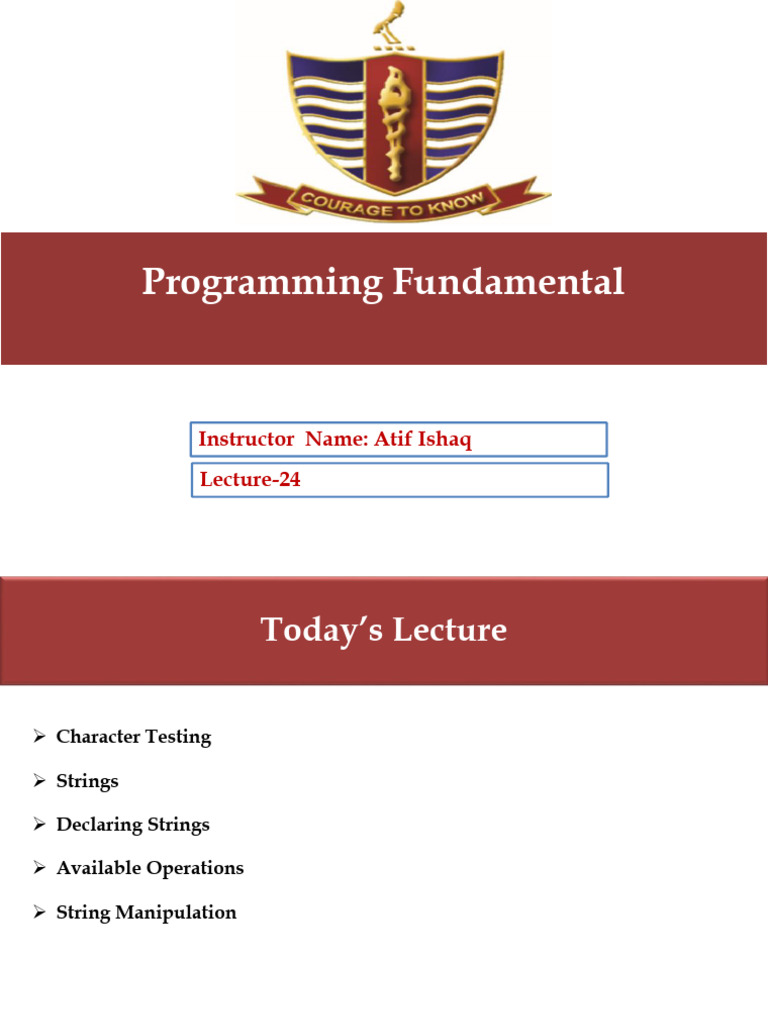 Lecture 24 | PDF | String (Computer Science) | C++