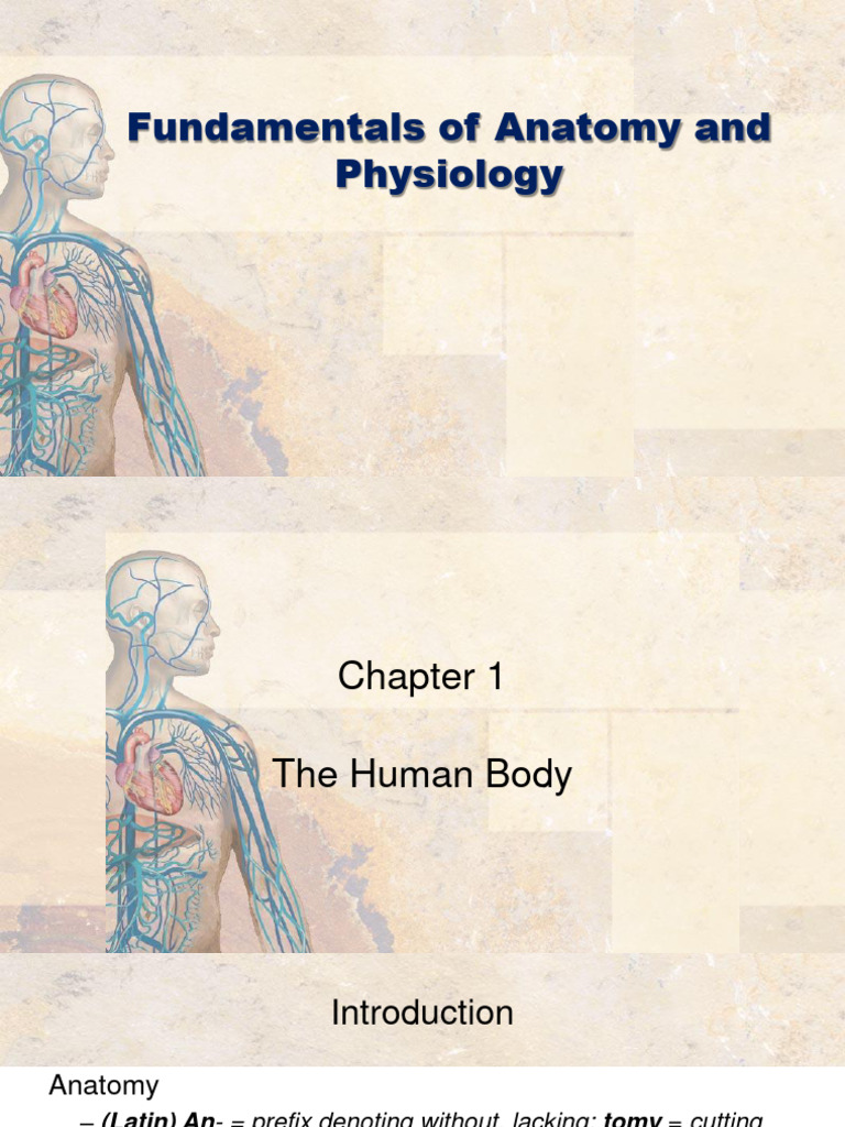 1 The Human Body | PDF