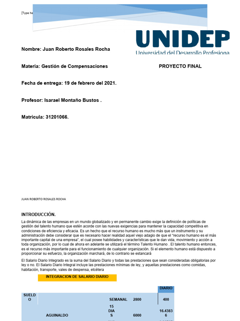 Proyecto Final Roberto Rosales | PDF