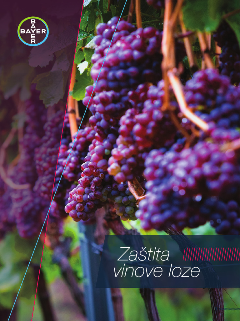 Tehnologija Zastite Vinove Loze V09 | PDF