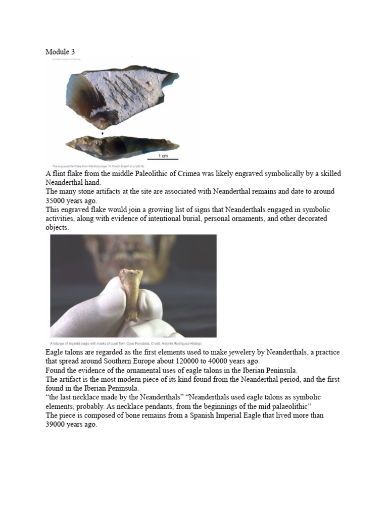 Arch 301 Prep | PDF | Neanderthal | Paleolithic