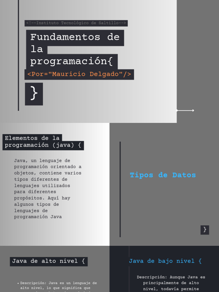 Fundamentos de La Programacion M.D.O. | PDF Fundamentos de La Programacion M.D.O. | PDF