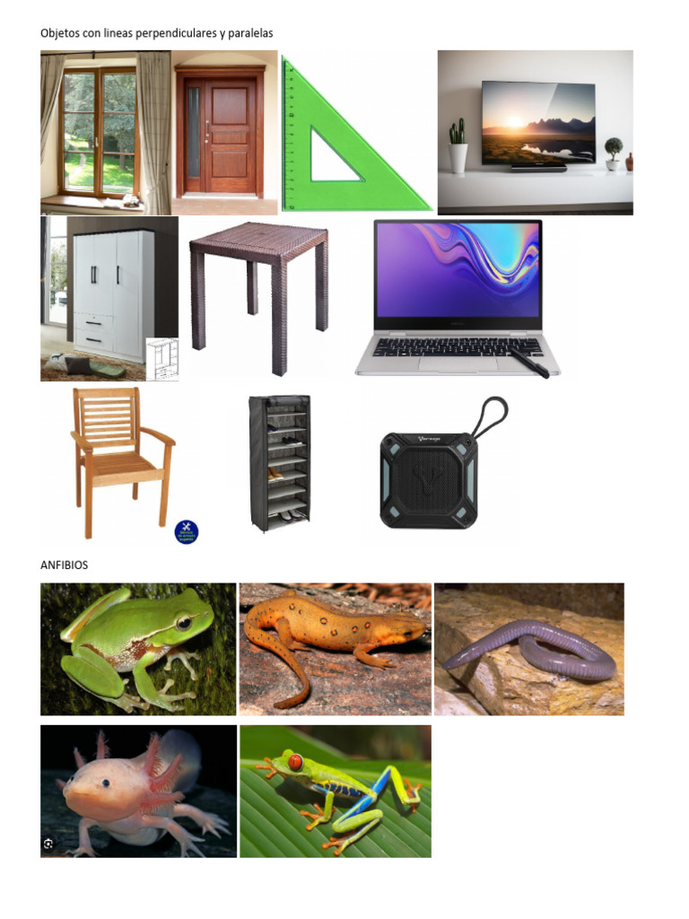 Objetos Con Lineas Perpendiculares y Paralelas | PDF
