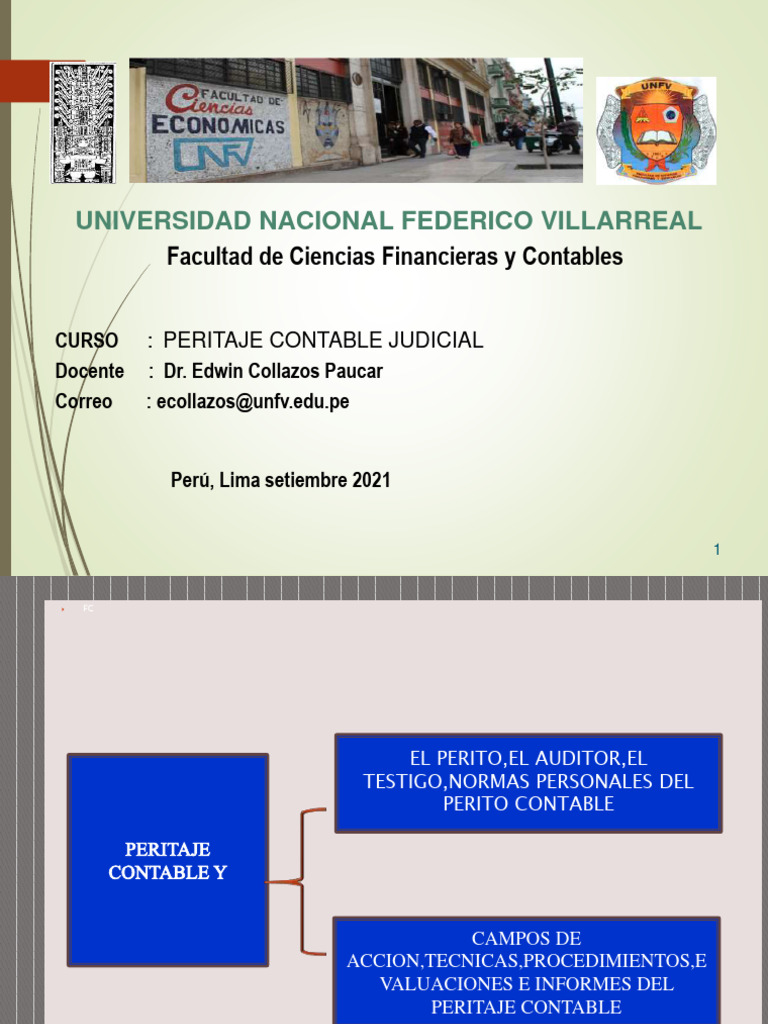 Peritaje Contable | PDF