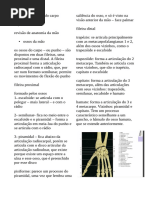 Aula 6 Ossos, Músculos, Inervação e Vascularização Do Punho e Mão | PDF ...