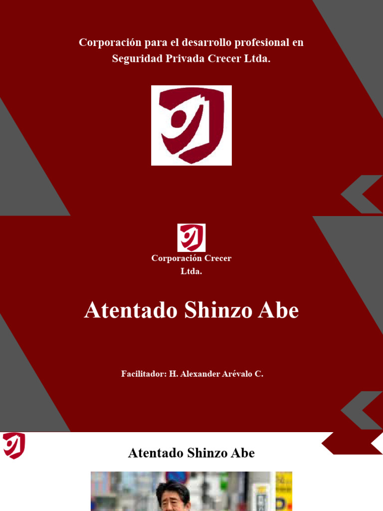 Shinzo Abe | PDF