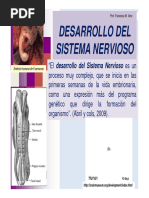 Neurulacion Embriologia | PDF | Anatomía | Biología del desarrollo