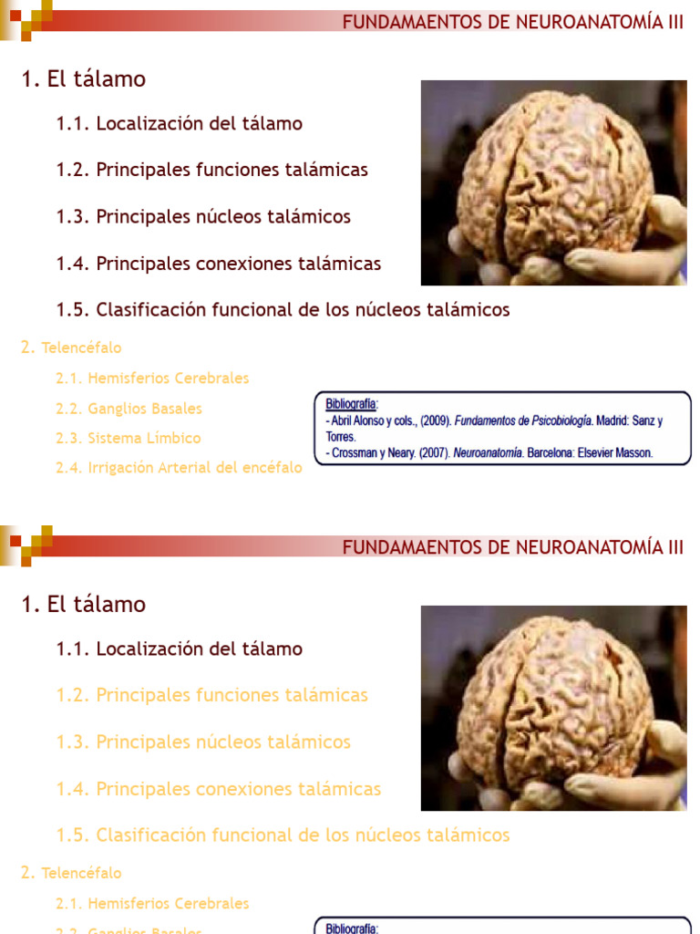 6 Bloque Temático III, TÁLAMO | PDF | Tálamo | Ganglios basales