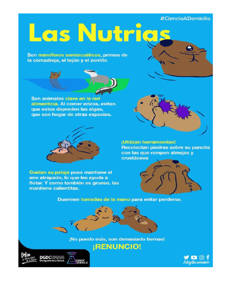 Articulo de Divulgacion Cientifica | PDF