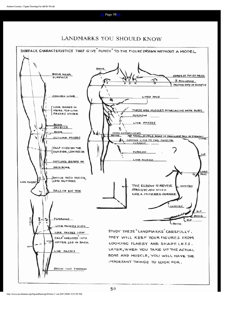 Andrew-Loomis-Landmarks 2 Views | PDF