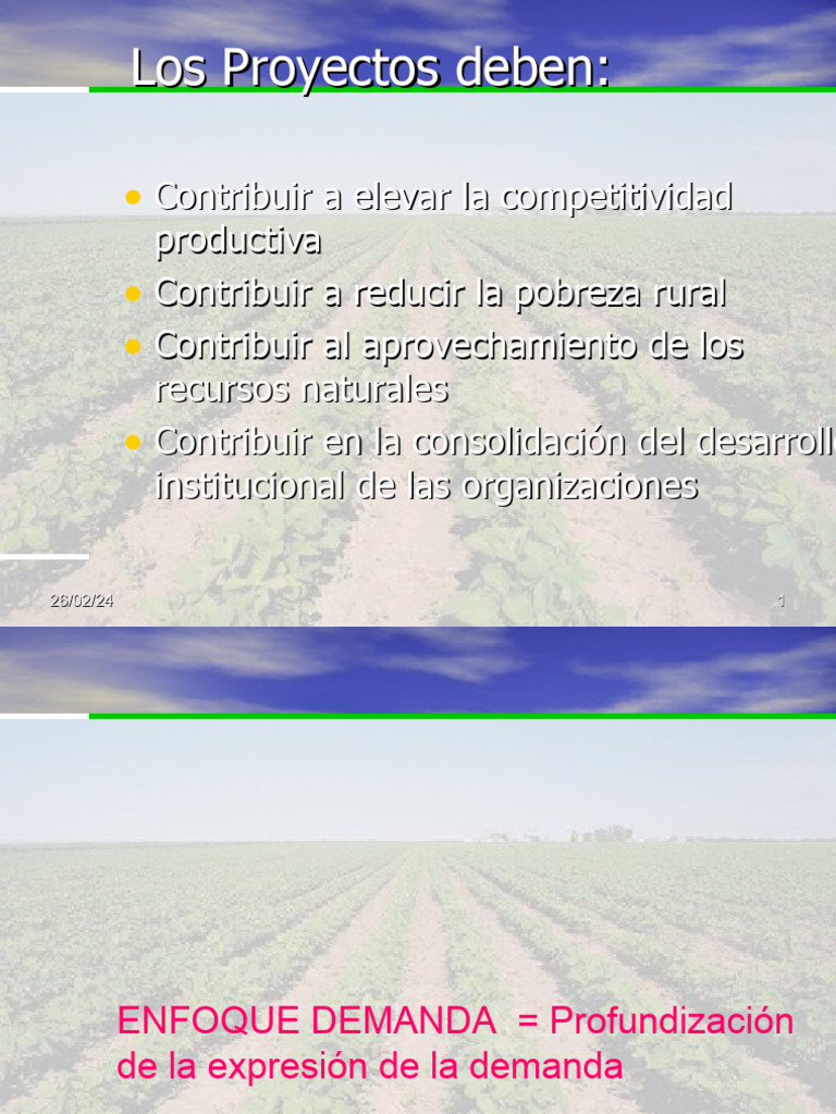 Proyectos | PDF | Colmena | Presupuesto