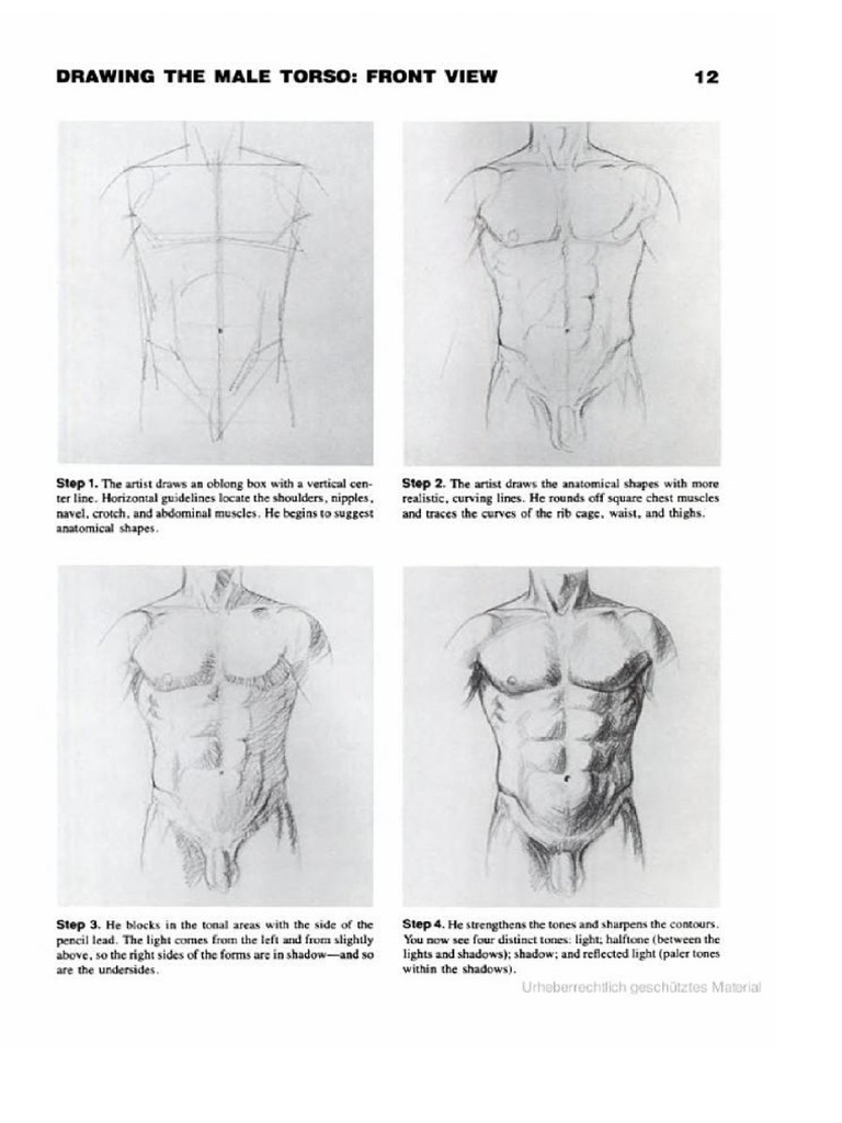 Step-by-Step - Torso M and F 3 Views | PDF