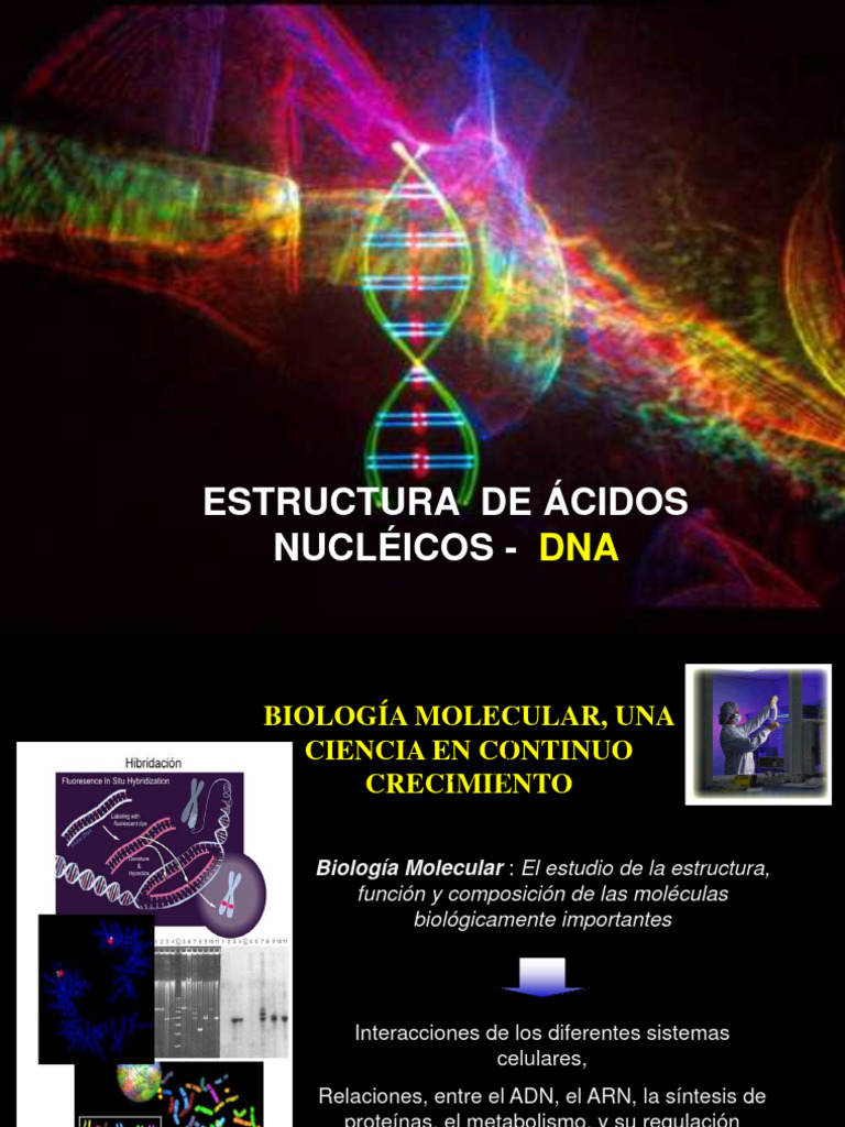 Bases Físicas de La Herencia | PDF | Adn | Gene