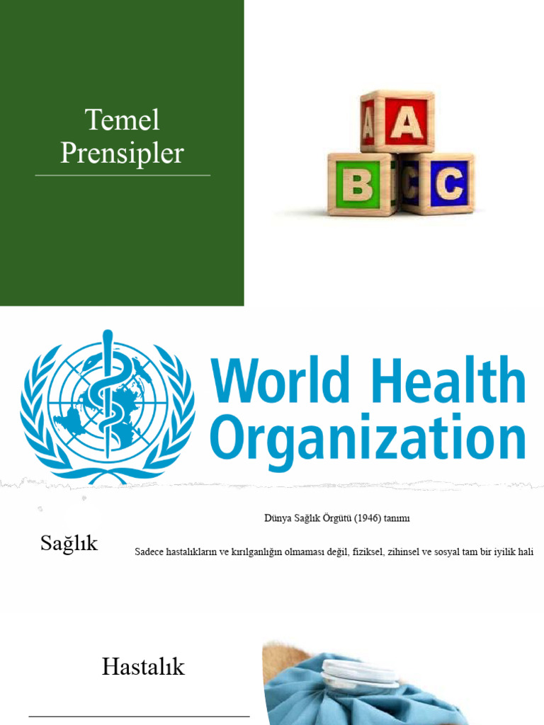 Temel Prensipler-Elvan | PDF