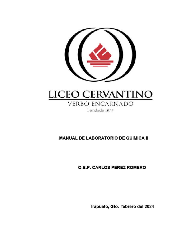 Manual Practicas QUIMICA II 2024 | PDF
