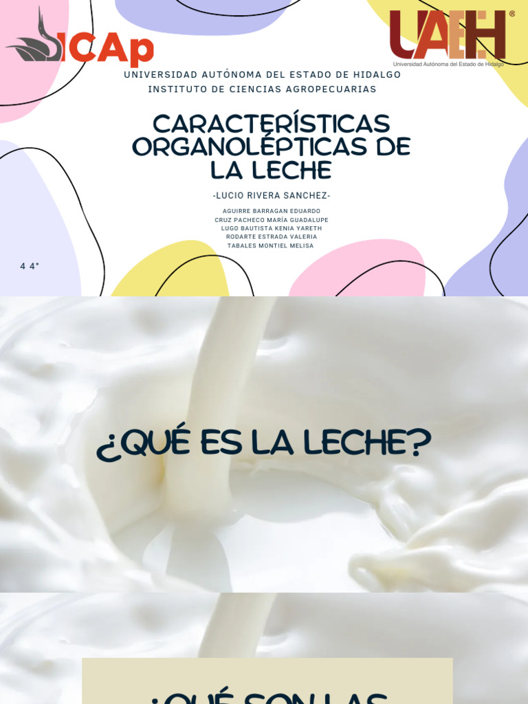 Caracter Í Sticas | PDF