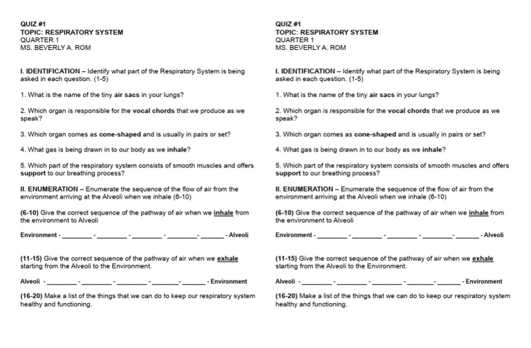 QUIZ #1 - Respiratory System | PDF | Respiratory System | Exhalation