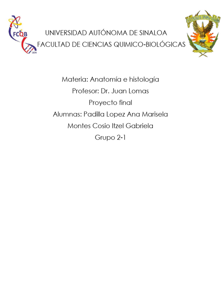 Proyecto de Anatomia | PDF