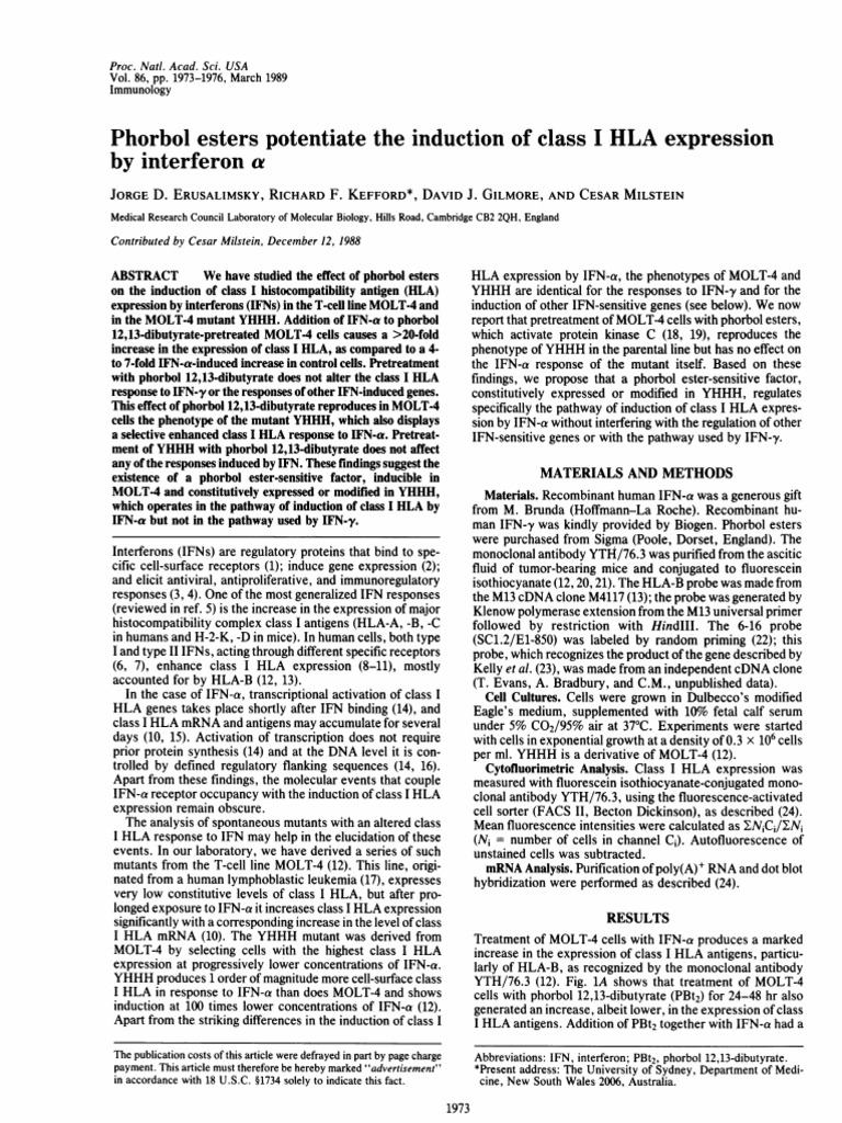 pnas00246-0241 | PDF | Interferon Gamma | Interferon