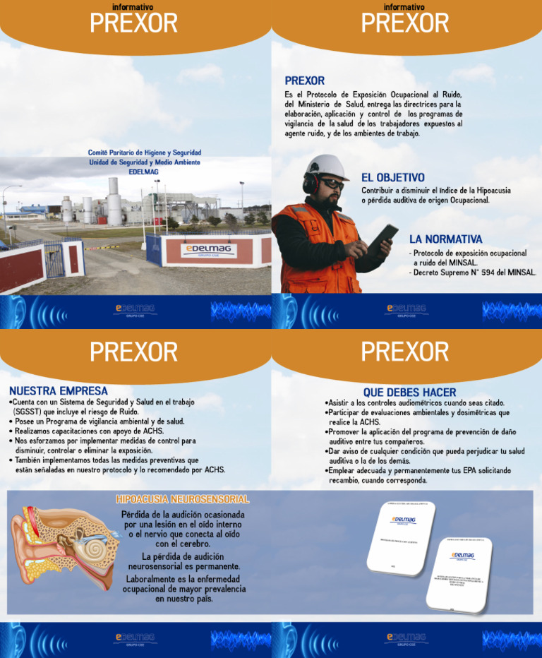 Prexor Diptico | PDF