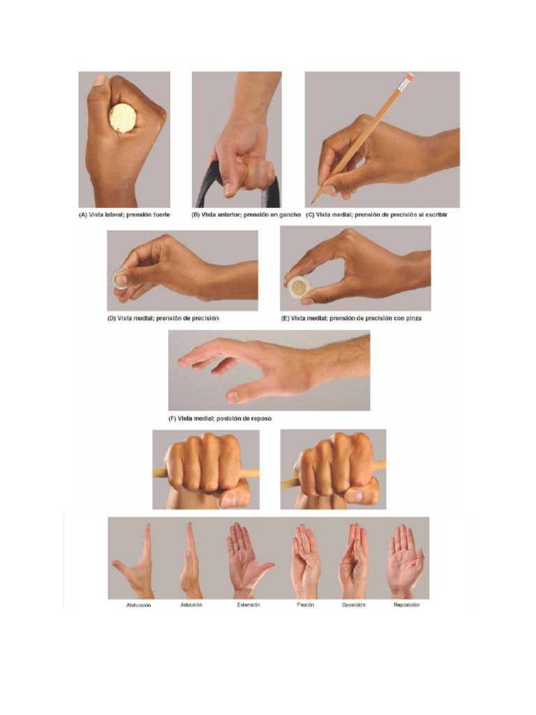 Fotos de Mano | PDF