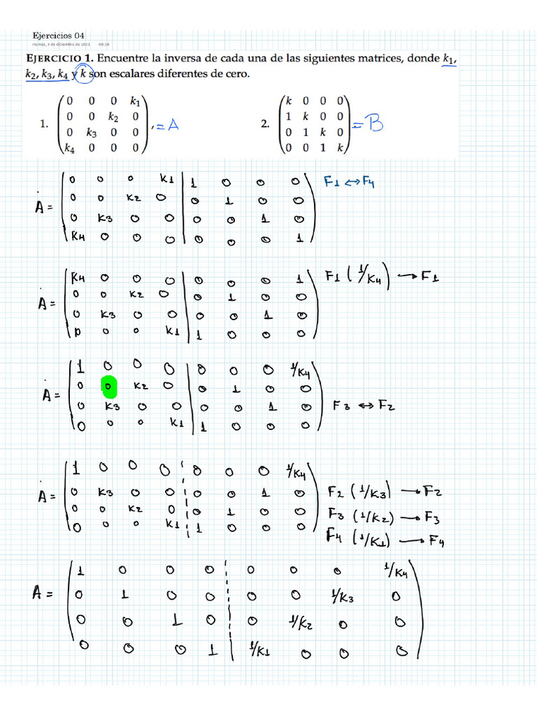 Matriz Inversa-1 | PDF