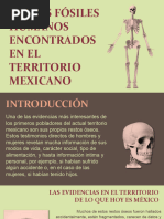 El Hombre de Tepexpan: Historia y Hallazgos | PDF