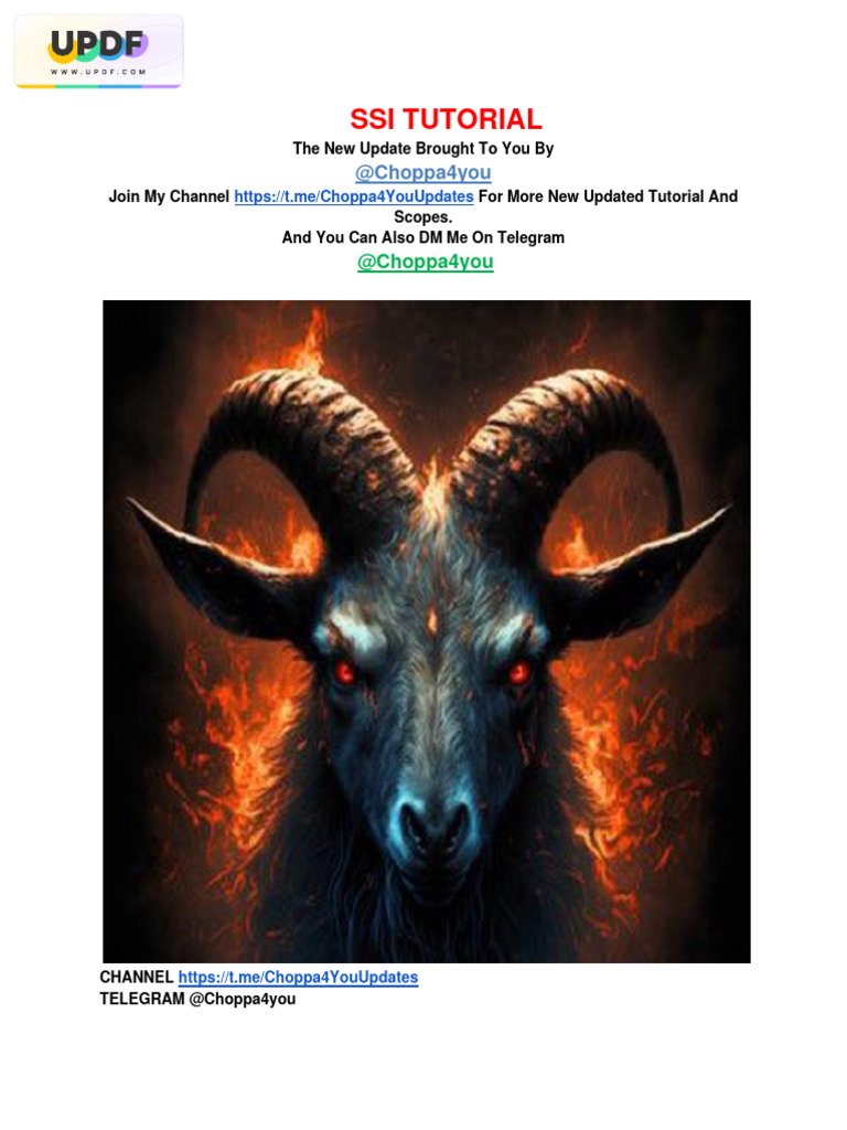 SSI TUT BY Choppa4You | PDF | Business