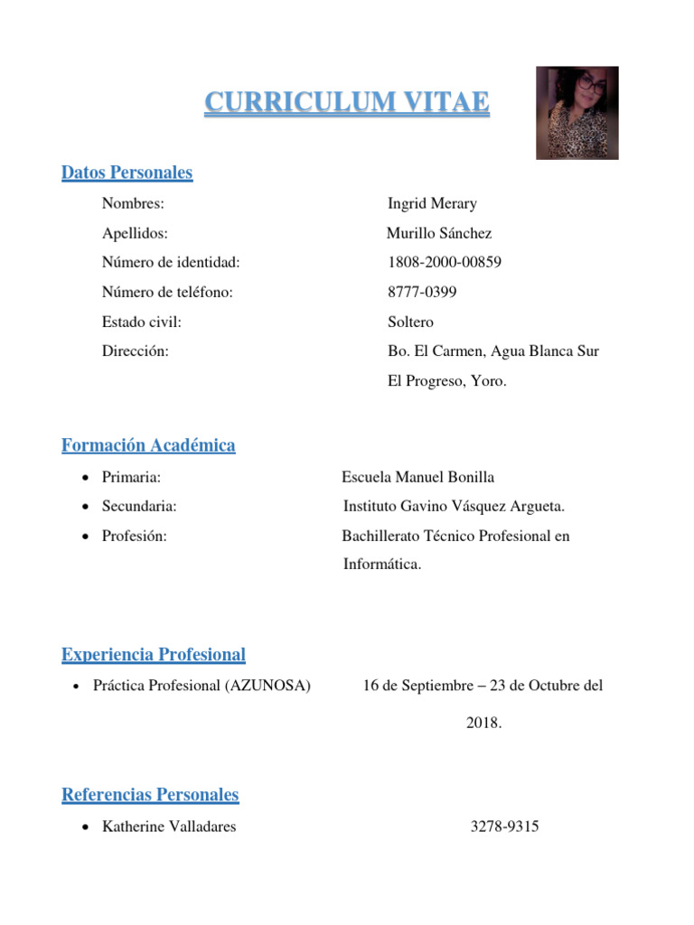 Curriculum Vitae Ingrid | PDF
