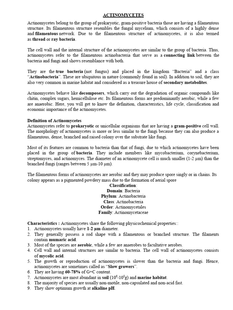 Actinomycetes | PDF | Fungus | Bacteria